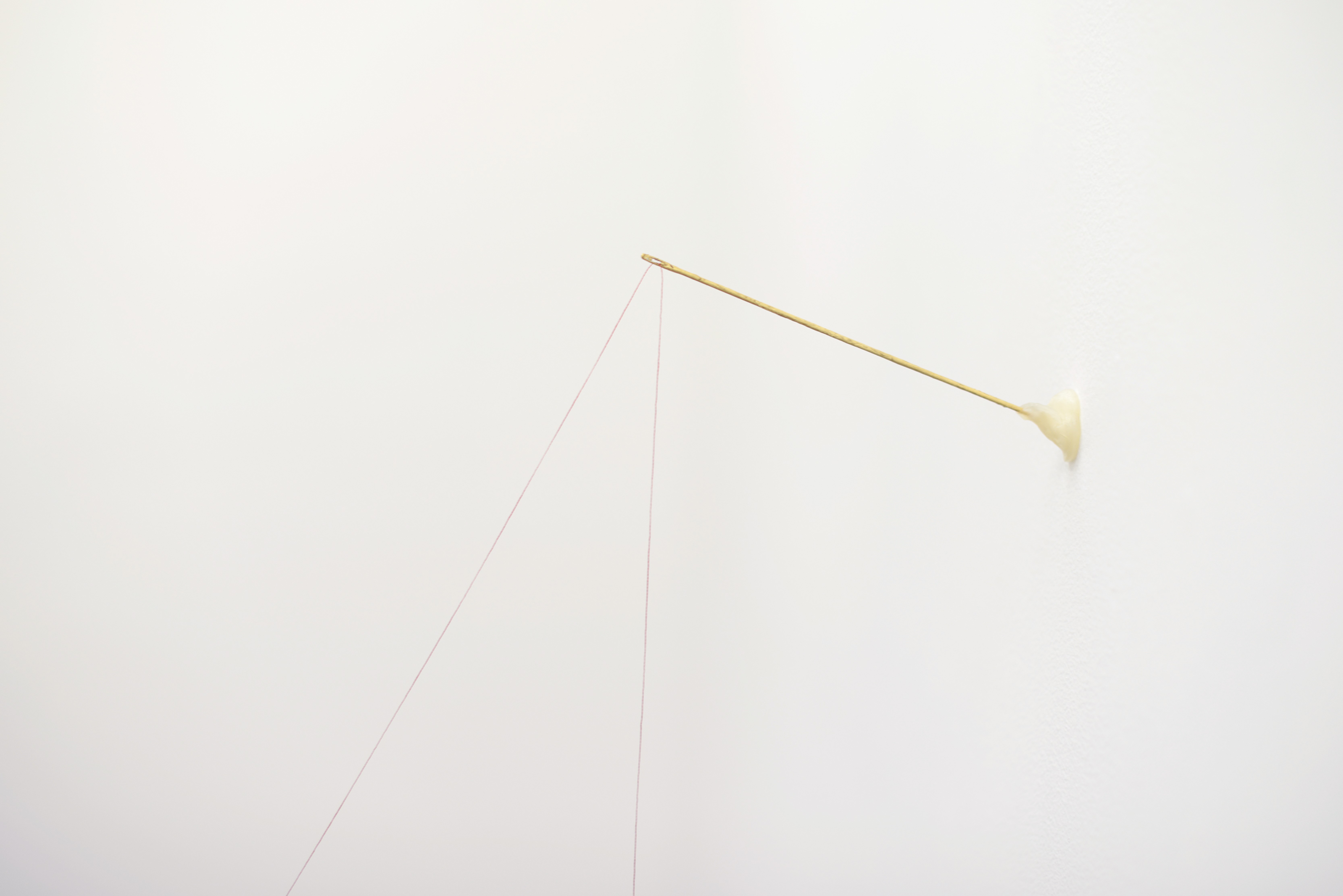 2015 – Debra Porch
