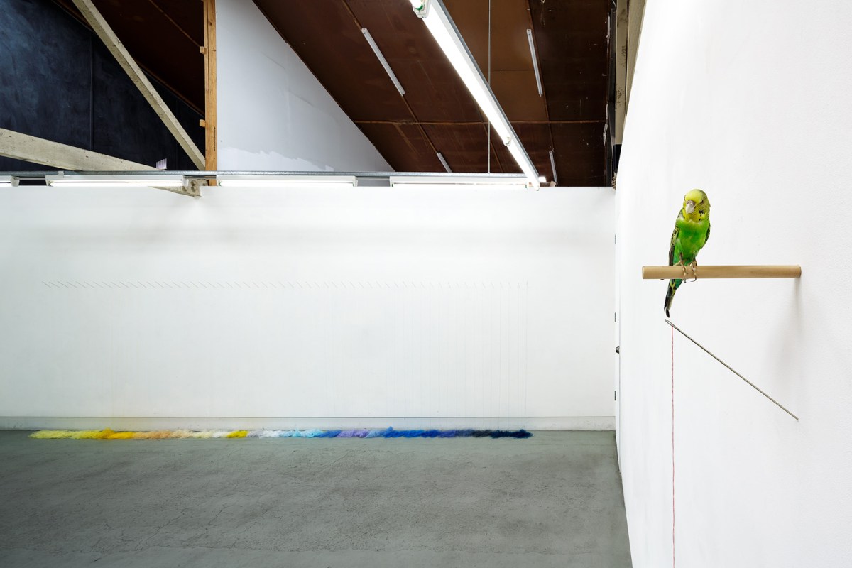 Exhibitions/Projects – Debra Porch